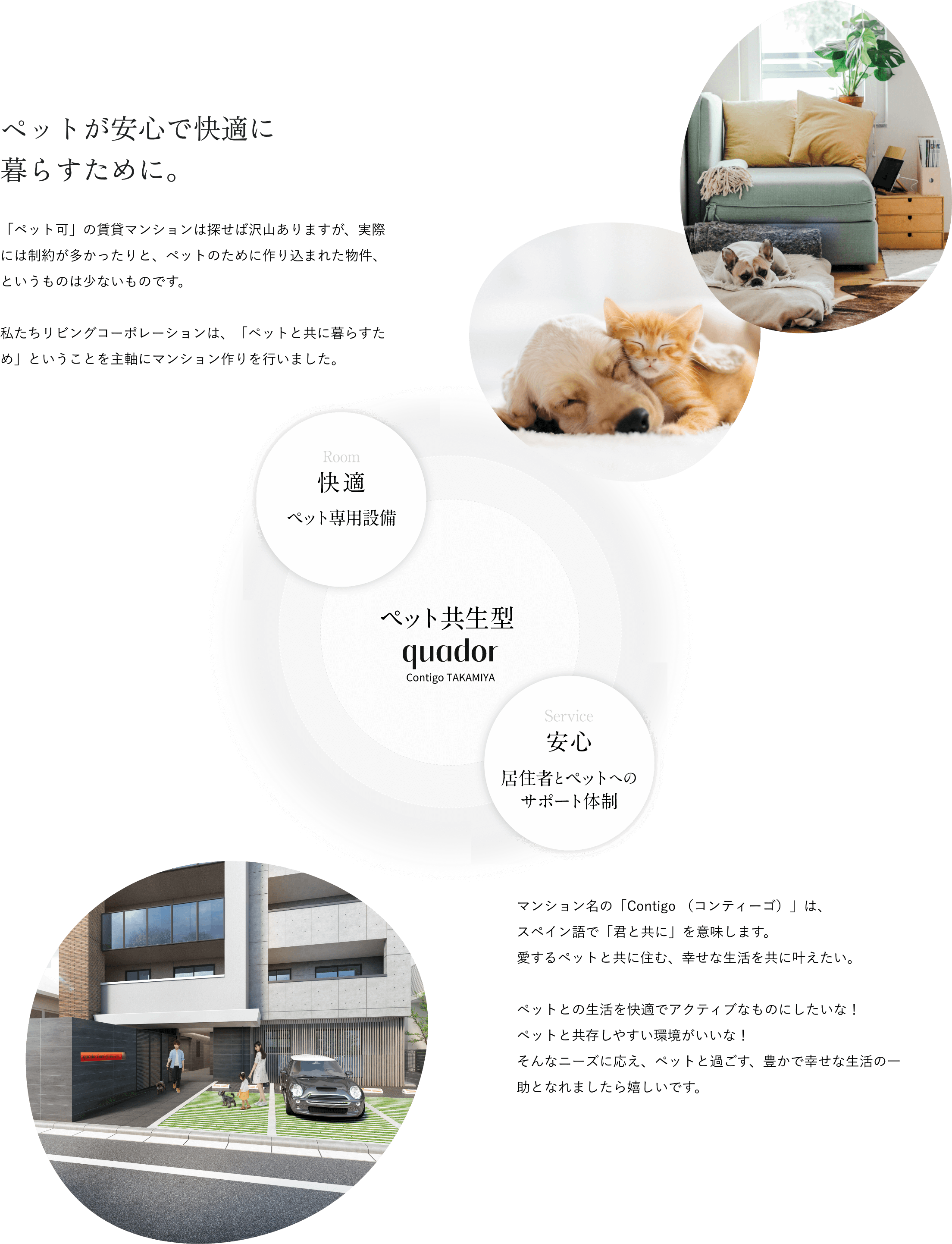 ペット共生型賃貸マンション｜quador Contigo 高宮