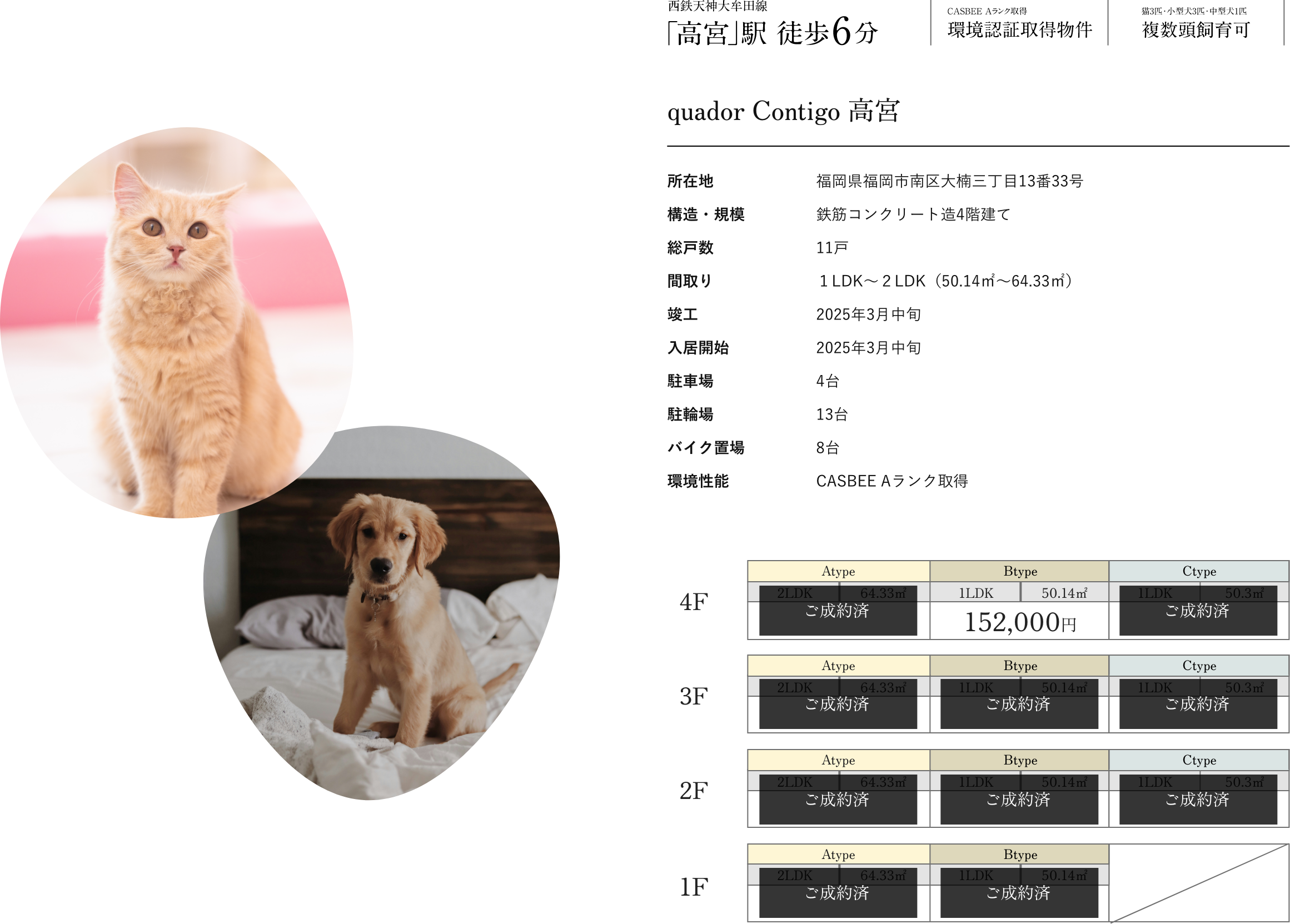 ペット共生型賃貸マンション｜quador Contigo 高宮